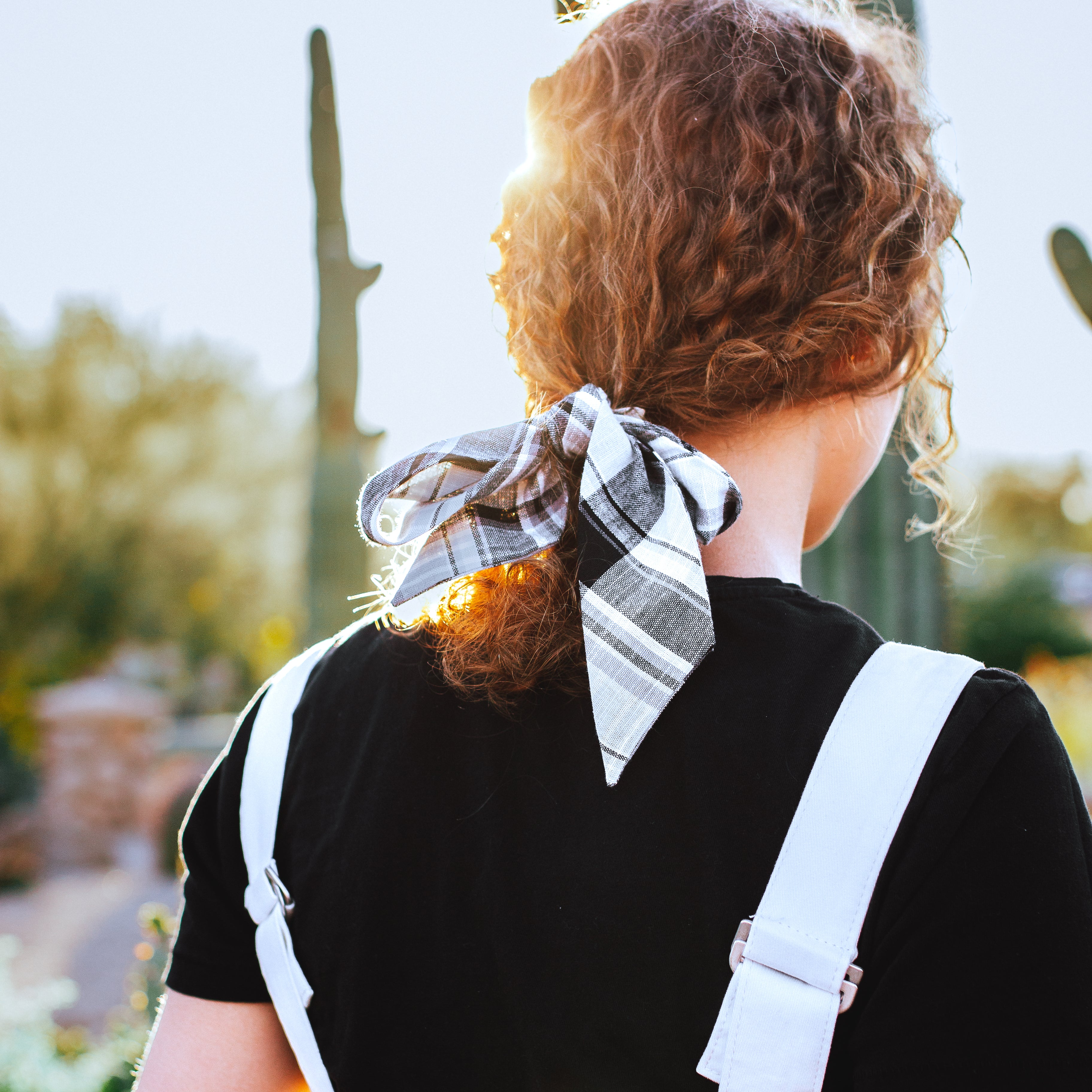 Men's Neckties, Bowties, Pocket Squares | Frank & Buck