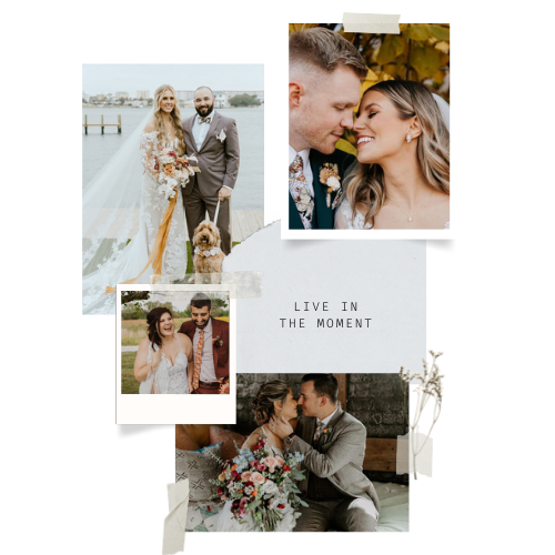 Mudd Solid Necktie | Cotton Ties - Frank & Buck